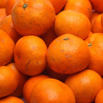 ふるさと納税 広川町 家庭用 有田みかん2.5kg+250g(傷み補償分)【光センサー選果】【訳あり・わけあり】 : Yahoo!ふるさと納税 - 通販 - Yahoo!ショッピング