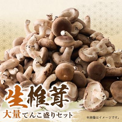 ふるさと納税 いなべ市 椎茸大量てんこ盛りセット : 1201273 : Yahoo!ふるさと納税 - 通販 - Yahoo!ショッピング