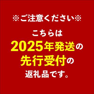 ふるさと納税 八重瀬町 【マンゴー農園直送!】2025年夏!マンゴー秀品 約1kg(2〜4玉) : 1209539 : Yahoo!ふるさと納税 - 通販 - Yahoo!ショッピング