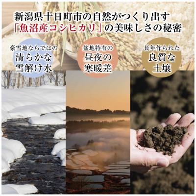 ふるさと納税 十日町市 【令和6年産】魚沼産コシヒカリ 特別栽培米 「魚沼三昧(R)」5kg×1袋 新潟県 十日町市 : 1230135 : Yahoo!ふるさと納税 - 通販 - Yahoo ...