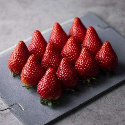 ふるさと納税 山元町 【農場直送】ミガキイチゴ・プラチナ12粒(360g) : Yahoo!ふるさと納税 - 通販 - Yahoo!ショッピング