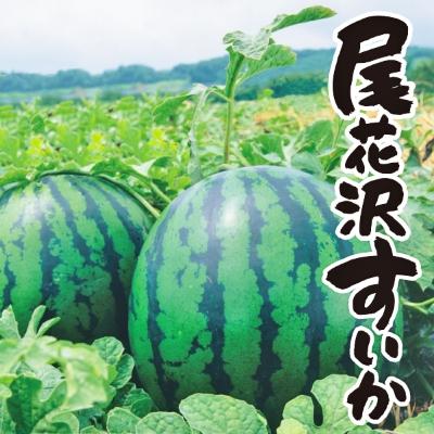 ふるさと納税 尾花沢市 尾花沢すいか 2Lサイズ(約7kg)×2玉 令和8年産 2026年産 JA ja-su2xx2 : Yahoo!ふるさと納税 - 通販 - Yahoo!ショッピング