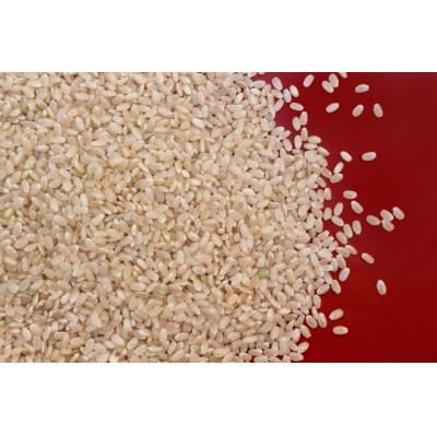 ふるさと納税 竜王町 令和6年産 コシヒカリ玄米 30kg : Yahoo!ふるさと納税 - 通販 - Yahoo!ショッピング