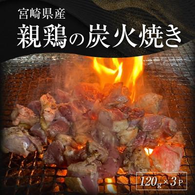 ふるさと納税 木城町 宮崎県産親鶏の炭火焼き 120g×3P : 1285815 : Yahoo!ふるさと納税 - 通販 - Yahoo!ショッピング