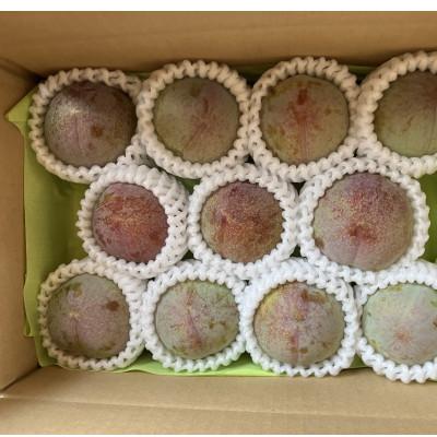 ふるさと納税 南アルプス市 すももソルダム大玉2L~4L 約1.2kg(9〜12玉) : 1294462 : Yahoo!ふるさと納税 - 通販 - Yahoo!ショッピング