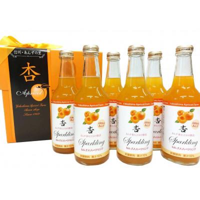 ふるさと納税 千曲市 長野県産あんず 杏スパークリング 310ml×6本 (ノンアルコール/杏果汁入り炭酸飲料) : 1302428 : Yahoo!ふるさと納税 - 通販 - Yahoo ...