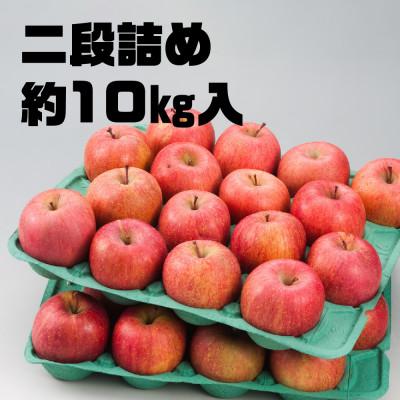 ふるさと納税 黒石市 【R7年11月上旬〜発送開始】内容量 約10Kg 訳ありりんご シナノスイート 24〜46個入 : Yahoo!ふるさと納税 - 通販 - Yahoo!ショッピング