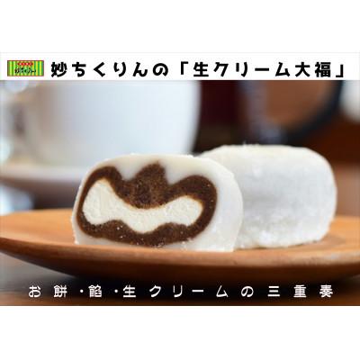 ふるさと納税 伊勢崎市 生クリーム大福 mix20個セット・C20 : Yahoo!ふるさと納税 - 通販 - Yahoo!ショッピング