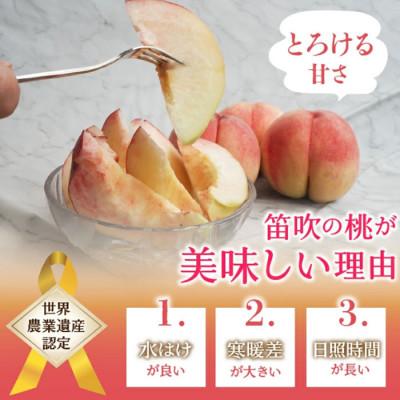ふるさと納税 笛吹市 【ふるさと納税】先行受付 厳選!桃 約3kg(8〜12玉) 山梨県笛吹市産 : Yahoo!ふるさと納税 - 通販 - Yahoo!ショッピング
