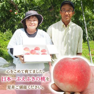 ふるさと納税 笛吹市 【ふるさと納税】先行受付 厳選!桃 約3kg(8〜12玉) 山梨県笛吹市産 : Yahoo!ふるさと納税 - 通販 - Yahoo!ショッピング