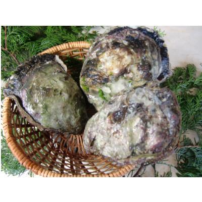 ふるさと納税 対馬市 天然岩ガキ3kg : Yahoo!ふるさと納税 - 通販 - Yahoo!ショッピング