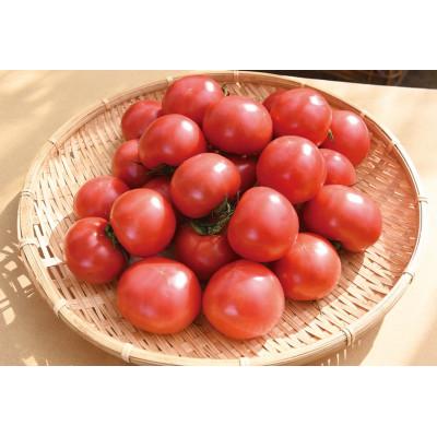 ふるさと納税 吉岡町 栗田温室農園の王様トマト(4kg箱×2)農林水産大臣賞受賞! : 1376949 : Yahoo!ふるさと納税 - 通販 ...