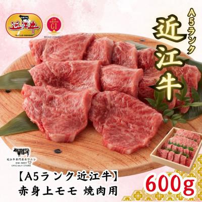 ふるさと納税 大津市 【A5ランク近江牛】赤身上モモ 焼肉用(約600g) : Yahoo!ふるさと納税 - 通販 - Yahoo!ショッピング