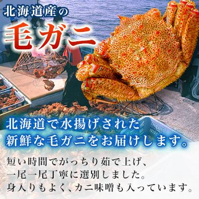 ふるさと納税 稚内市 【2025製造】ボイル毛ガニ1尾450g〜550g : Yahoo!ふるさと納税 - 通販 - Yahoo!ショッピング
