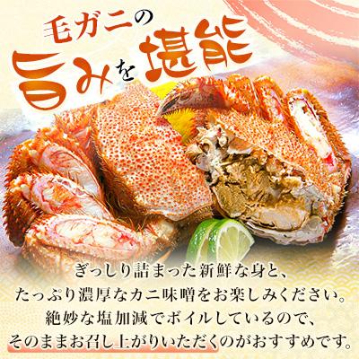 ふるさと納税 稚内市 【2025製造】ボイル毛ガニ1尾450g〜550g : Yahoo!ふるさと納税 - 通販 - Yahoo!ショッピング