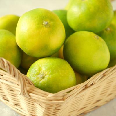 ふるさと納税 広川町 【秀品】有田産極早生みかん約5kg(2S〜Lサイズ混合)(広川町) : 1396076 : Yahoo!ふるさと納税 - 通販 - Yahoo!ショッピング