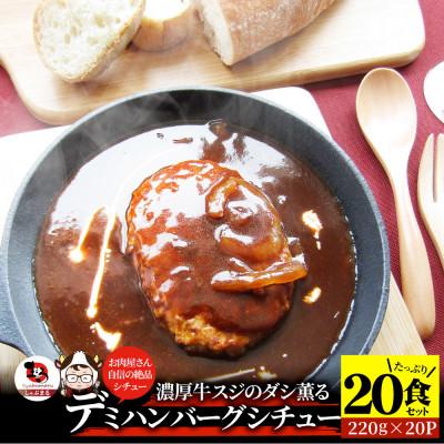 ふるさと納税 三木町 ハンバーグデミシチュー 220g×20食セット (総重量4.4kg) : Yahoo!ふるさと納税 - 通販 - Yahoo!ショッピング
