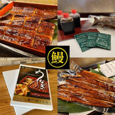 ふるさと納税 西尾市 三河一色うなぎ蒲焼き3尾(中サイズ)肝焼き付き・F017-22 : Yahoo!ふるさと納税 - 通販 - Yahoo!ショッピング