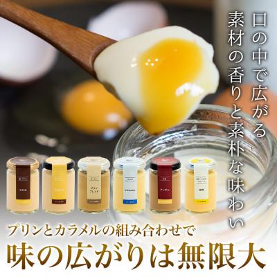 ふるさと納税 松原市 プリン研究所おすすめプリンセット6種×ソース12種×3セット : 1404784 : Yahoo!ふるさと納税 - 通販 ...