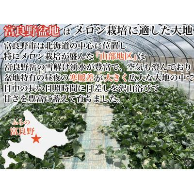 ふるさと納税 富良野市 【2025年度出荷】富良野メロン(赤肉)秀品ティアラ1.6kg/2玉入 : 1405352 : Yahoo!ふるさと納税 - 通販 - Yahoo!ショッピング