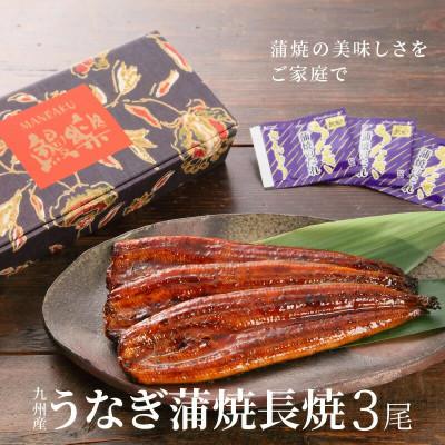 ふるさと納税 宮崎市 国産 うなぎ蒲焼3尾(計510g) : 1412204 : Yahoo!ふるさと納税 - 通販 - Yahoo!ショッピング