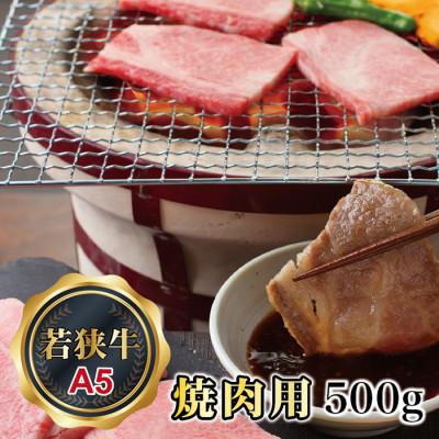 ふるさと納税 越前市 若狭牛焼肉用(A5ランク) 500g : 1415611 : Yahoo!ふるさと納税 - 通販 - Yahoo!ショッピング
