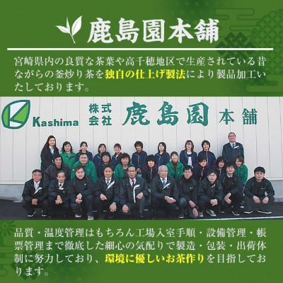 ふるさと納税 門川町 緑茶三角ティーバッグ500g(5g×100P) : 1416734 : Yahoo!ふるさと納税 - 通販 - Yahoo!ショッピング