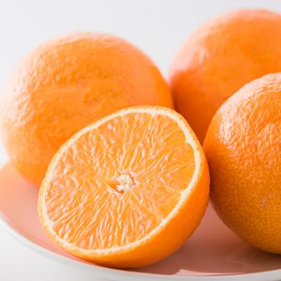 ふるさと納税 松山市 紅まどんな M〜4Lサイズ 5kg 【ご家庭用】 : Yahoo!ふるさと納税 - 通販 - Yahoo!ショッピング