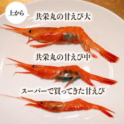 ふるさと納税 坂井市 漁船直送☆船内瞬間冷凍 プレミアム甘えび 約650g [A-2328] : 1427716 : Yahoo!ふるさと納税 - 通販 - Yahoo!ショッピング