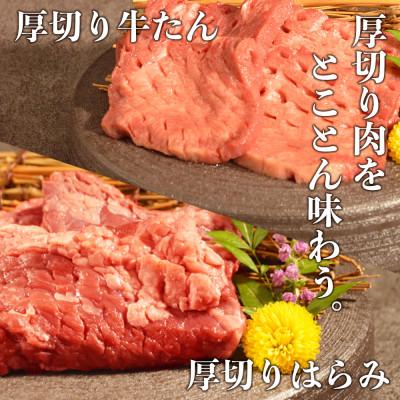 ふるさと納税 宇土市 厚切り牛タン・ハラミセット(軟化加工) 700g : Yahoo!ふるさと納税 - 通販 - Yahoo!ショッピング
