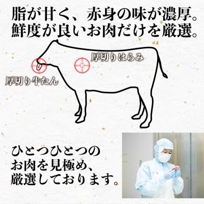 ふるさと納税 宇土市 厚切り牛タン・ハラミセット(軟化加工) 700g : Yahoo!ふるさと納税 - 通販 - Yahoo!ショッピング