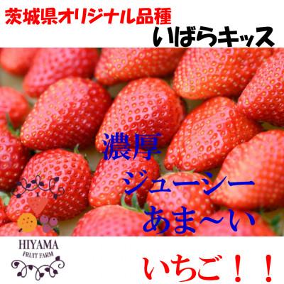 ふるさと納税 常陸太田市 茨城県品種いばらキッス 約260g×2パック(1箱) : 1440745 : Yahoo!ふるさと納税 - 通販 ...