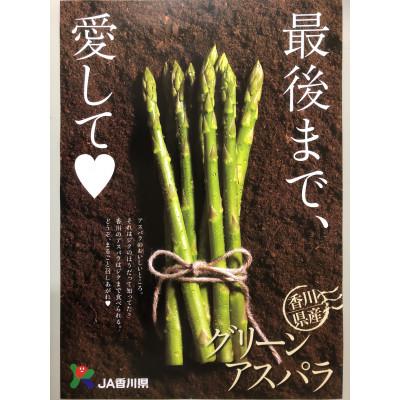 ふるさと納税 東かがわ市 アスパラガス【さぬきのめざめ】3L・2Lサイズ1kg : Yahoo!ふるさと納税 - 通販 - Yahoo!ショッピング