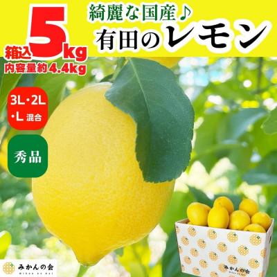 ふるさと納税 有田川町 レモン 国産 秀品 中玉 箱込 5kg(内容量4.4kg) L 2L 3L ミックス 和歌山県産 : Yahoo!ふるさと納税 - 通販 - Yahoo!ショッピング