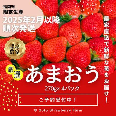 ふるさと納税 田川市 【先行予約/2025年】福岡県産あまおう 約270g×4パック《2025年2月以降順次発送》 : 1458867 ...