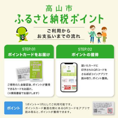 ふるさと納税 高山市 高山市ふるさと納税ポイント 3,000pt 【SB002】 : Yahoo!ふるさと納税 - 通販 - Yahoo!ショッピング
