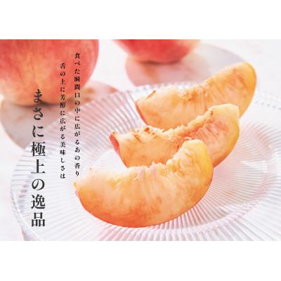 ふるさと納税 笛吹市 ＜2025年先行受付＞笛吹市産 大玉桃 2個入(約900g) : Yahoo!ふるさと納税 - 通販 - Yahoo!ショッピング
