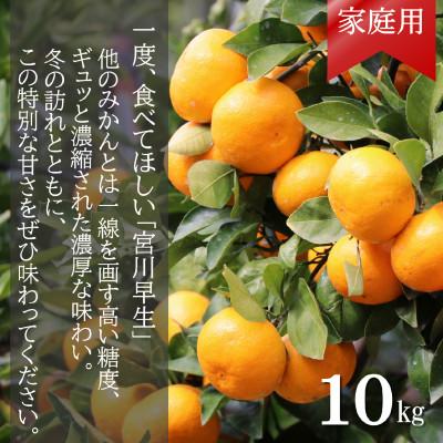 ふるさと納税 日高町 【先行受付】和歌山産 家庭用 宮川早生みかん 約10kg 2S〜2Lサイズ【訳ありみかん】 : Yahoo!ふるさと納税 - 通販 - Yahoo!ショッピング