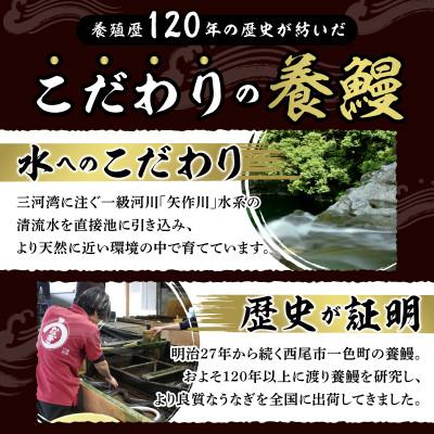 ふるさと納税 西尾市 一色産うなぎ無頭長蒲焼4尾(640g)・I053 : Yahoo!ふるさと納税 - 通販 - Yahoo!ショッピング