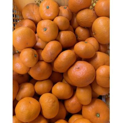 ふるさと納税 有田川町 【高糖系】越冬本貯蔵 丹生系みかん 秀品2L〜3L 約5kg : 1484097 : Yahoo!ふるさと納税 - 通販 - Yahoo!ショッピング