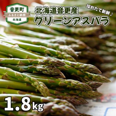 ふるさと納税 音更町 【先行受付】おとふけ産グリーンアスパラ (M-Lサイズ) 1.8kg【A39】 : Yahoo!ふるさと納税 - 通販 - Yahoo!ショッピング