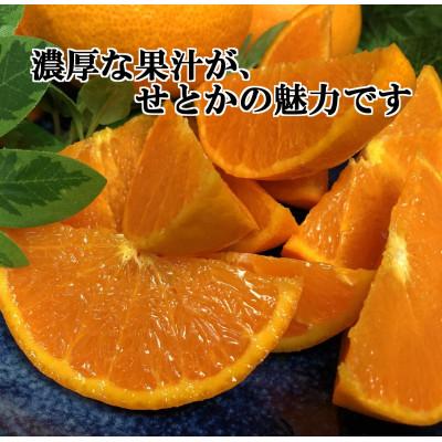 ふるさと納税 八幡浜市 柑橘の大トロ!「せとか」約3.5キロ 限定250個【訳あり品・家庭向け】【C39-51】 : 1491413 : Yahoo!ふるさと納税 - 通販 - Yahoo ...