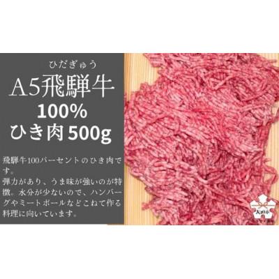 ふるさと納税 大垣市 A5飛騨牛100%使用 ひき肉 500g : 1494699 : Yahoo!ふるさと納税 - 通販 - Yahoo!ショッピング