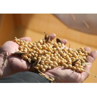 ふるさと納税 多可町 国産有機醤油(濃口500ml6本)詰合わせ[1007] : Yahoo!ふるさと納税 - 通販 - Yahoo!ショッピング