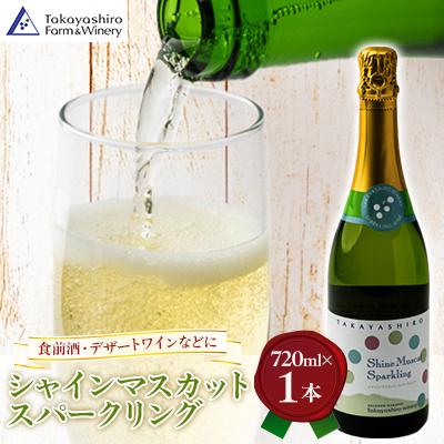 ふるさと納税 中野市 【たかやしろファーム】 シャインマスカットスパークリング 720ml : Yahoo!ふるさと納税 - 通販 - Yahoo!ショッピング