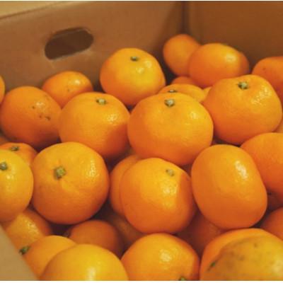 ふるさと納税 紀の川市 和歌山県産小玉みかん約2kg(2S・3S混合) : 1496901 : Yahoo!ふるさと納税 - 通販 - Yahoo!ショッピング