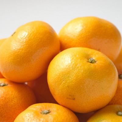 ふるさと納税 紀の川市 和歌山県産小玉みかん約2kg(2S・3S混合) : 1496901 : Yahoo!ふるさと納税 - 通販 - Yahoo!ショッピング