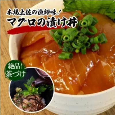 ふるさと納税 高知市 ネギトロ 約80g×6パック+マグロの漬け 約90g×6パック【BX050】 : 1499523 : Yahoo!ふるさと納税 - 通販 - Yahoo!ショッピング