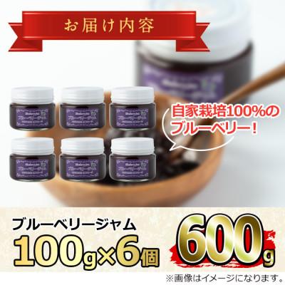 ふるさと納税 東串良町 贅沢な国産ブルーベリージャム(100g×6個・計600g)【村山製油】【12161】 : Yahoo!ふるさと納税 - 通販 - Yahoo!ショッピング