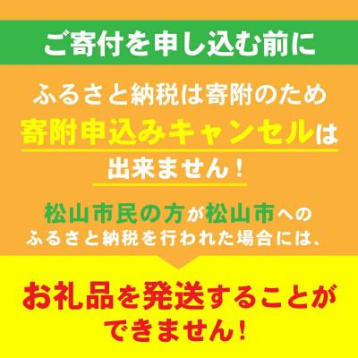 ふるさと納税 松山市 訳あり カラマンダリン 春みかん 2S-3L 約2kg : Yahoo!ふるさと納税 - 通販 - Yahoo!ショッピング